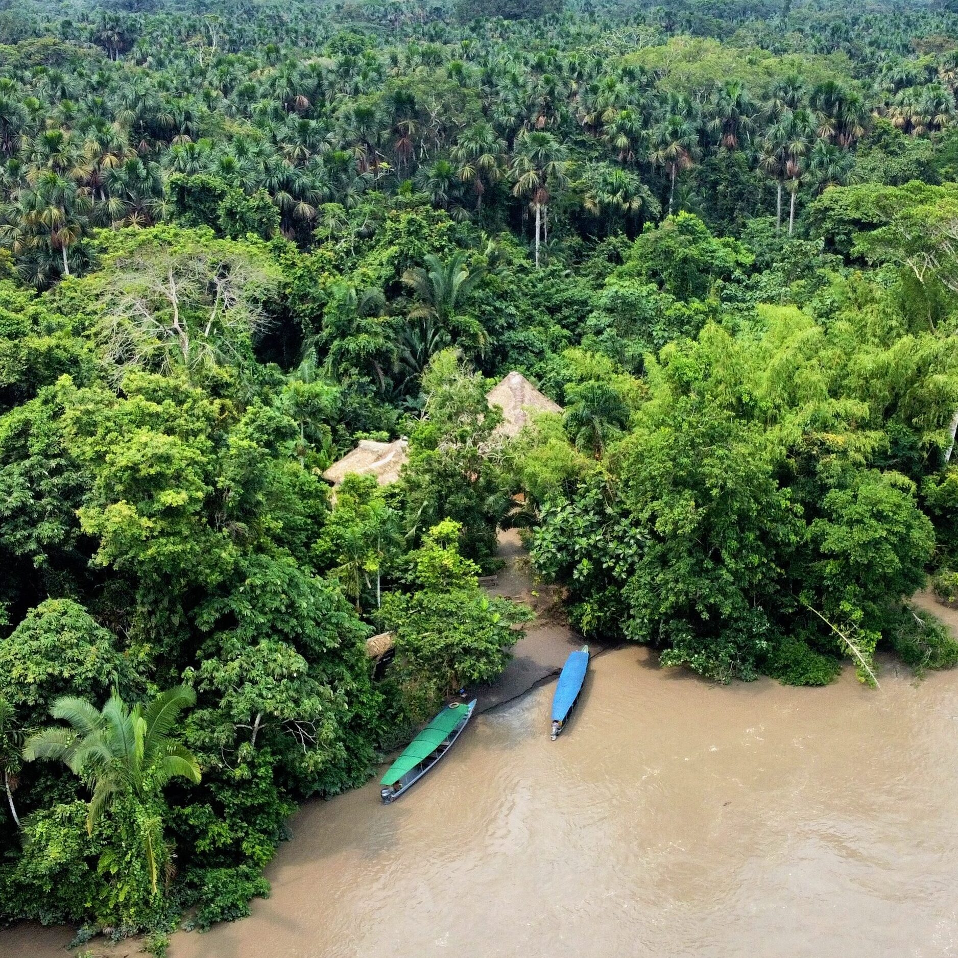 How our authentic family-run lodge became ambassador for Yasuní ...