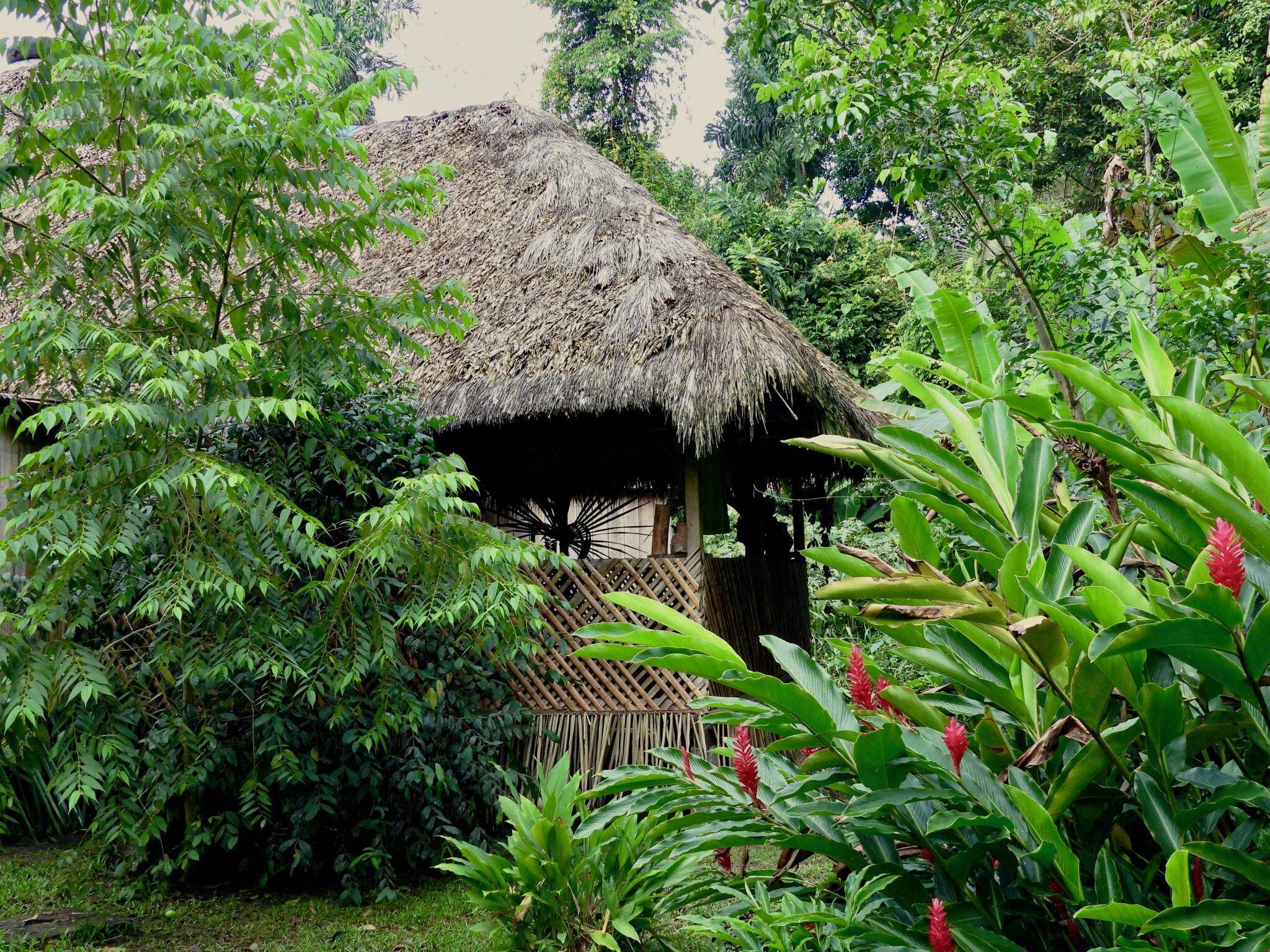 Beautiful Yasuní eco-lodge operated by locals | SINCHI WAYRA